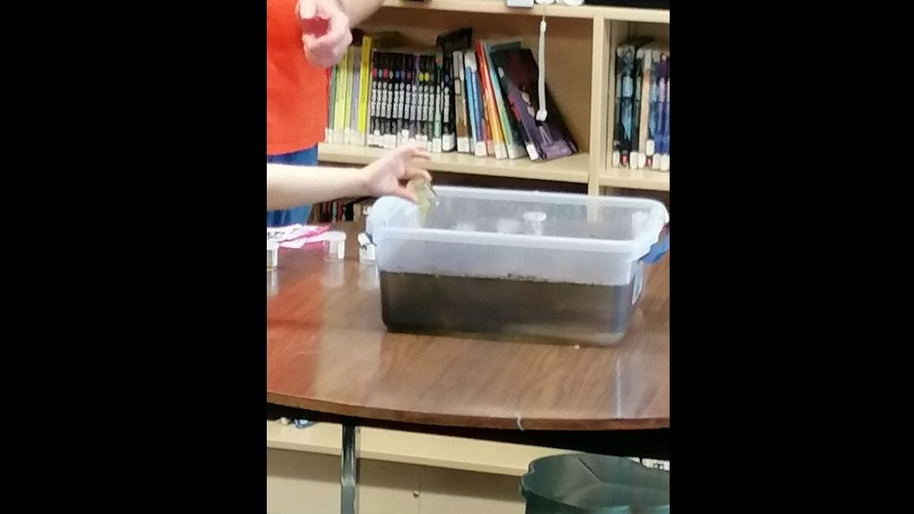 Interactive Learning with Mr. Harper